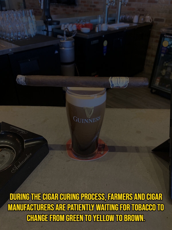Light Up Interesting Facts About Cigars