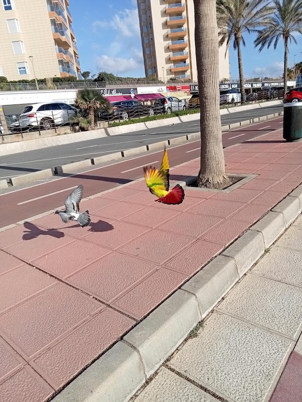 You rarely see such sights, natural and unnatural