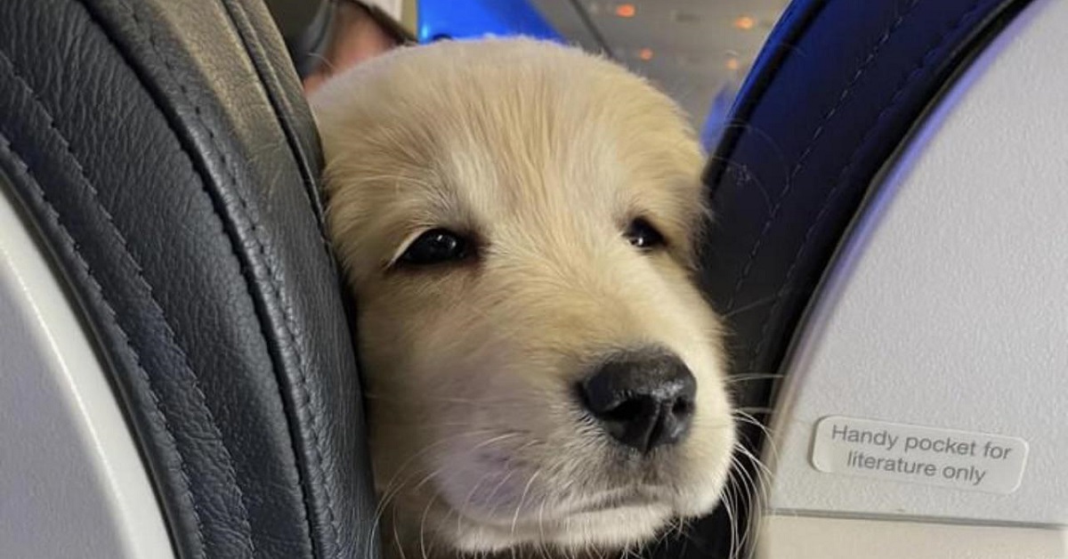 Beautiful Pictures | Pretty Pics - theCHIVE