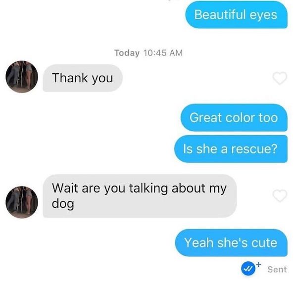 Tinder screenshots continue to amuse and amaze with every swipe