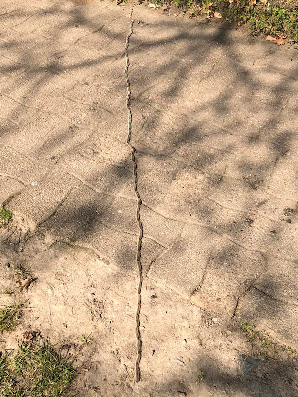 More curious oddities that have caught our attention | theCHIVE