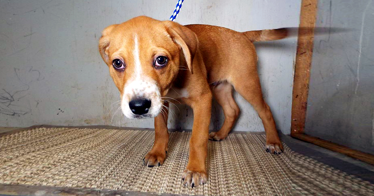 Humanity Photos, Memes & Videos - theCHIVE