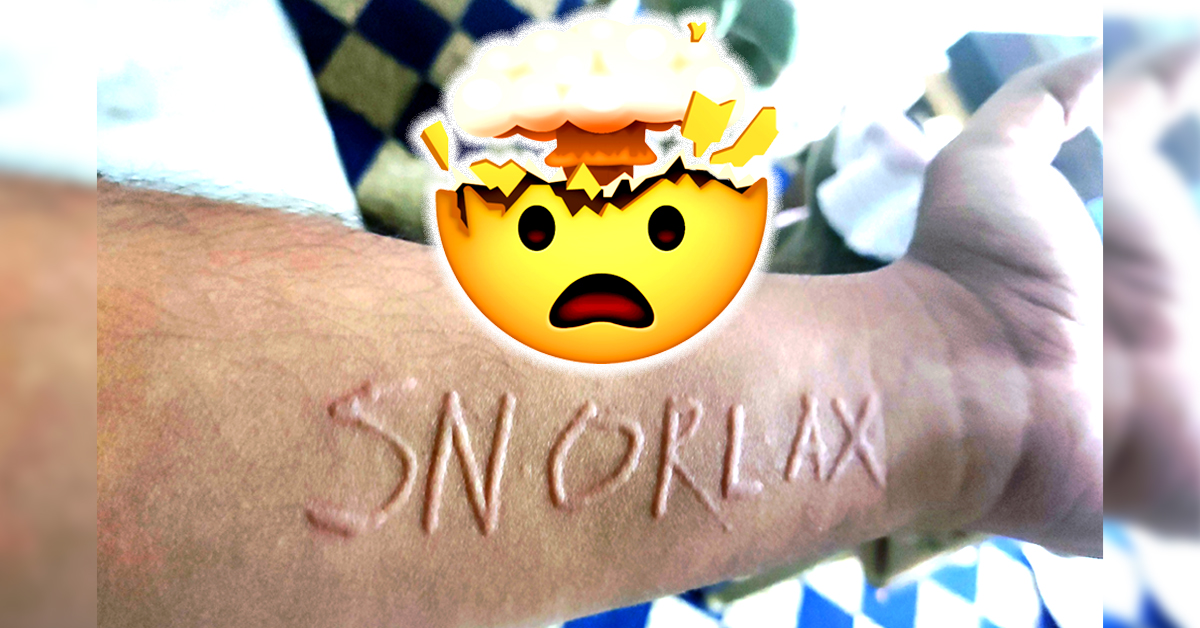 More curious oddities that have caught our attention | theCHIVE