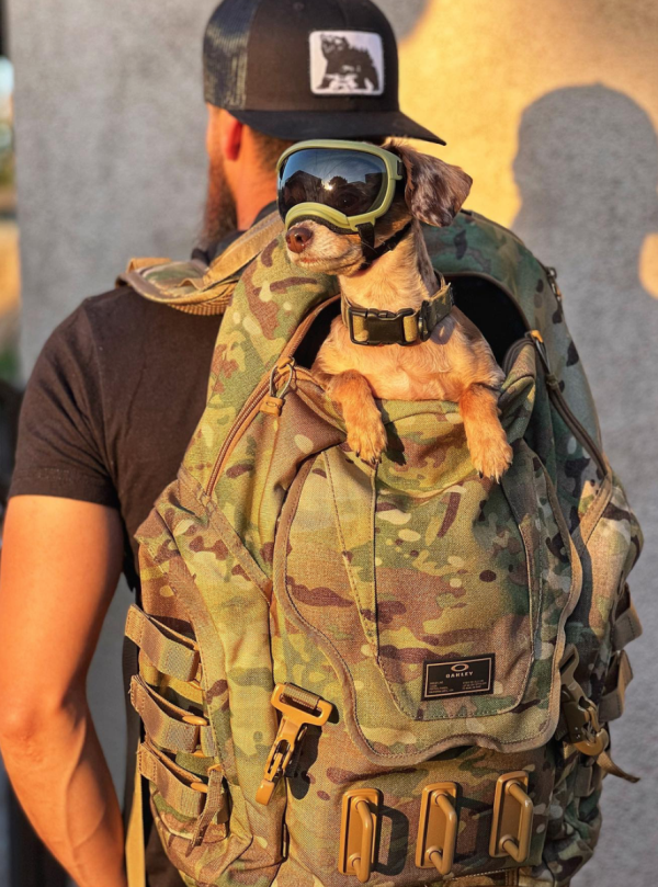 NEW K-9 Protective ARMOR Gear DARK FIGHTER Helmet Photos GIFs Taz Dog