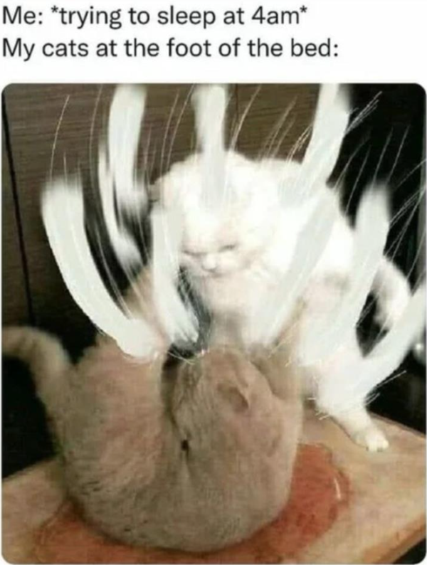 NAILED IT funny Memes Photo Captions Stupid Wisdom New Compilation Pic