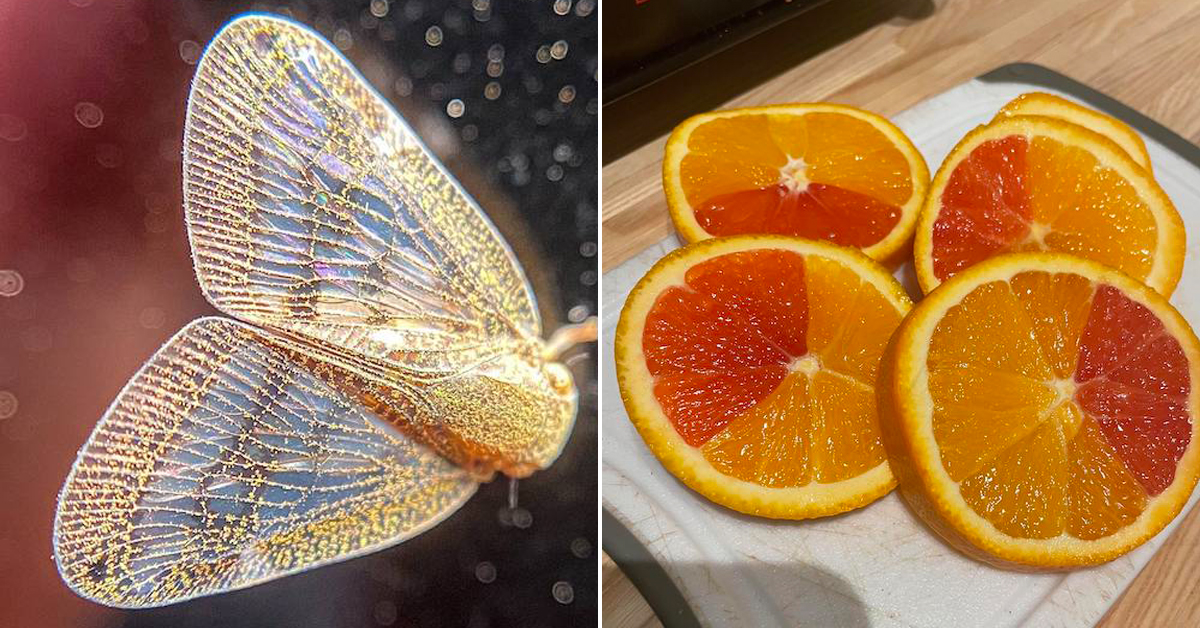 You rarely see such sights, natural and unnatural