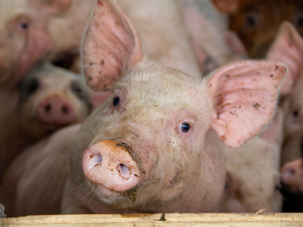 The greatest pranks people have ever pulled | theCHIVE | Humor