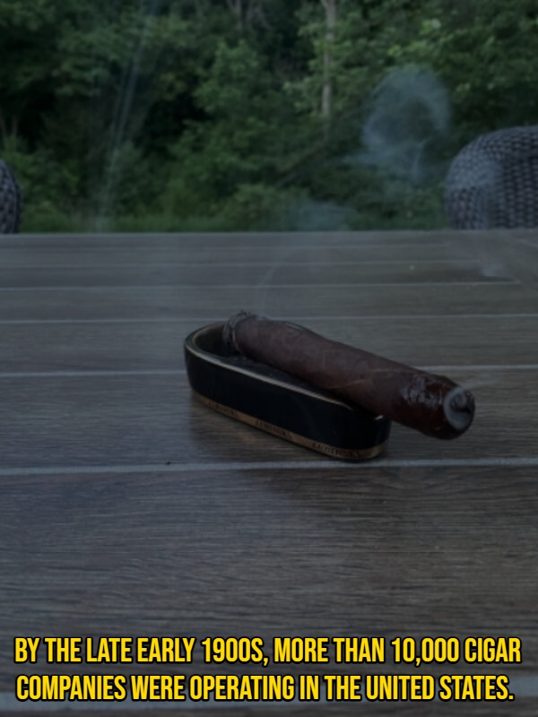 Light Up Interesting Facts About Cigars