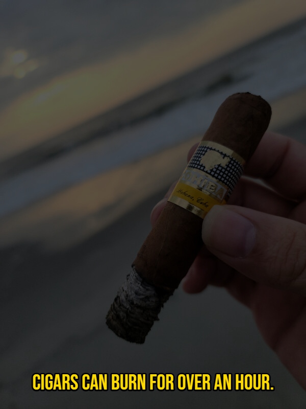 Light Up Interesting Facts About Cigars