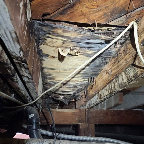 Home inspection fails that have us genuinely concerned