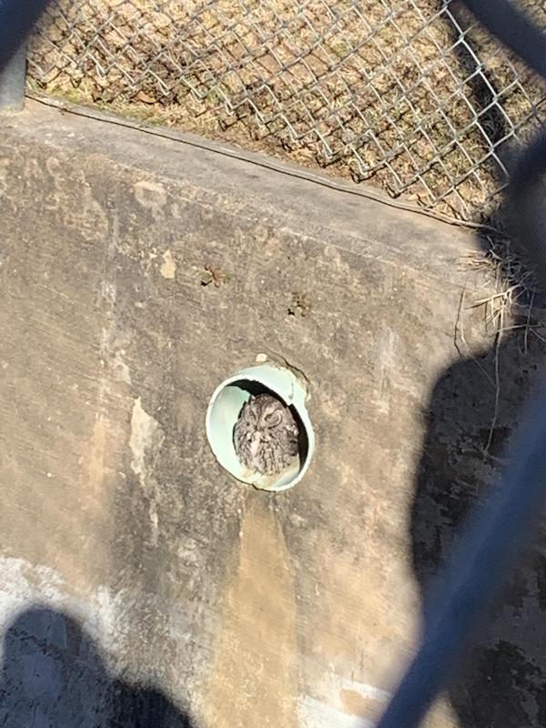 You rarely see such sights, natural and unnatural