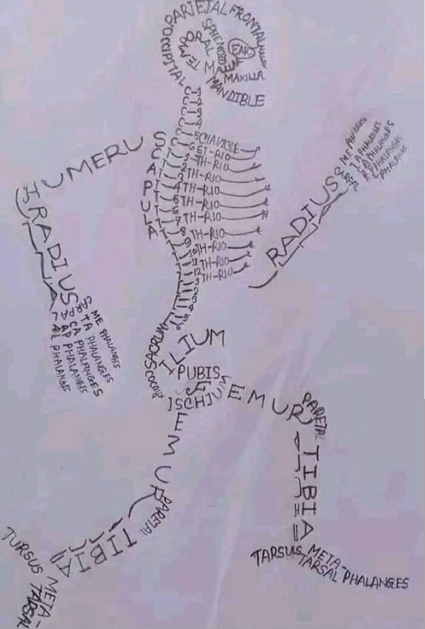 Science jokes are a proven formula for laughs