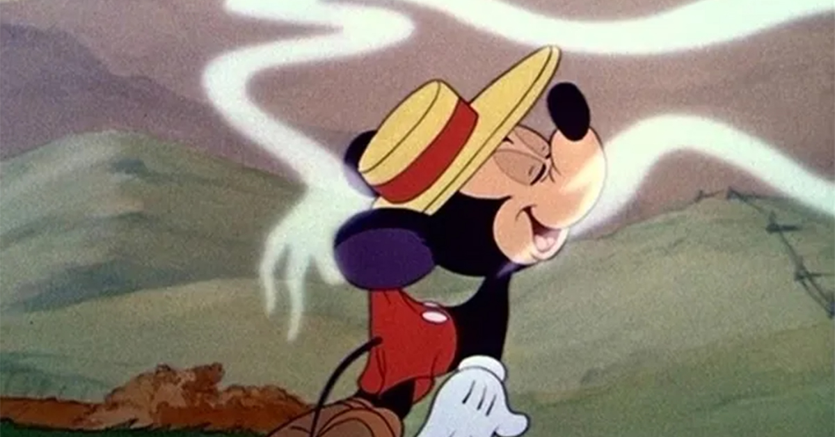 Scientists CONFIRM most universally-loved smell. And the winner is...