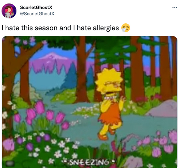 Smell the flowers, take your allergy meds and enjoy these Spring jokes