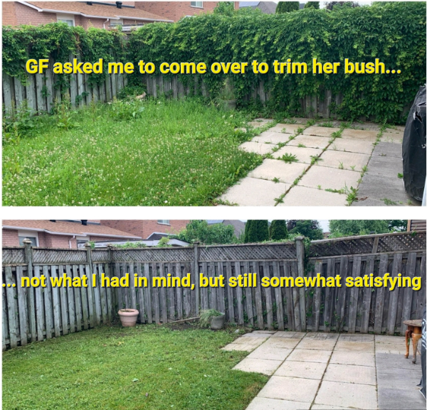 Dank Memes Keep Me Sane