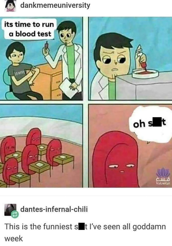 These science memes are a foolproof formula for laughs