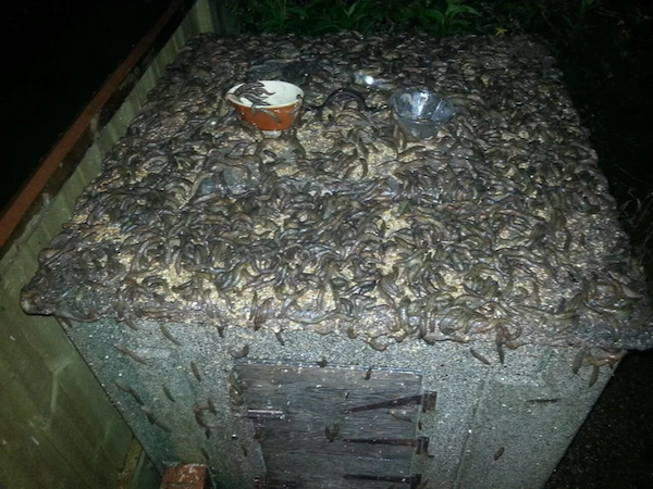 These items people found in their homes are absolutely CURSED