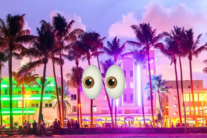 Miami’s a weird place (16 Photos)
