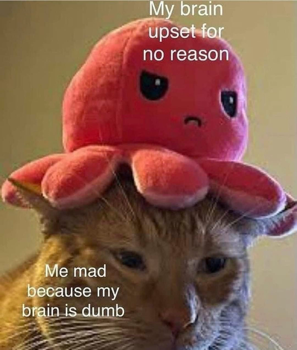 Memes about your mental instability to laugh at with your therapist