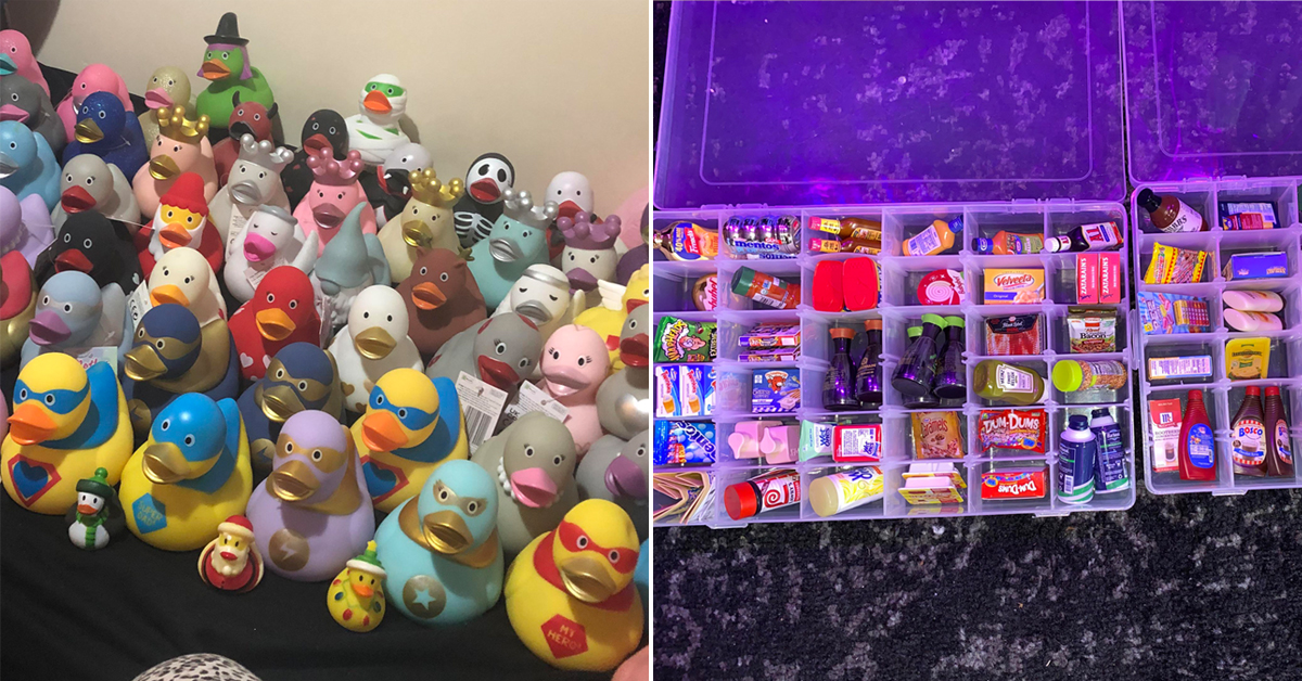 Cool, yet overtly strange collections... whatever makes you happy?