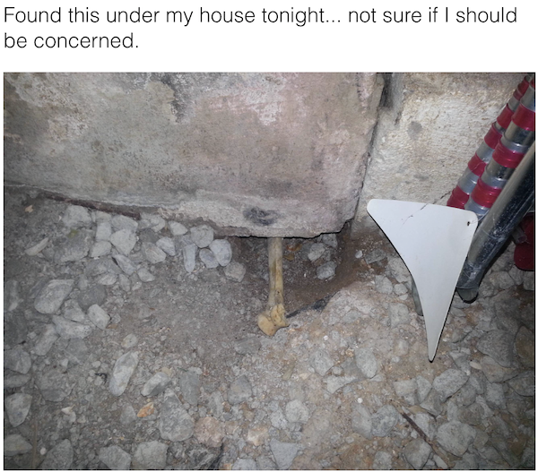 These items people found in their homes are absolutely CURSED