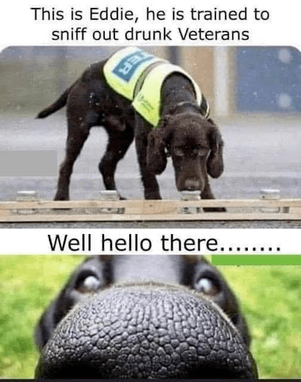 Tactical Meme Drop....INCOMING