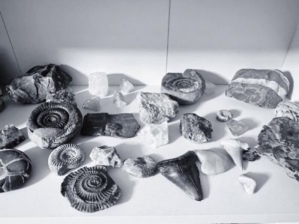 People share their INSANELY cool collections (30 Photos)