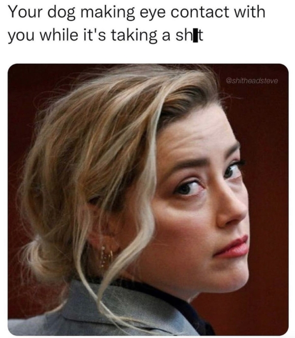 Hearsay! The best Johnny Depp vs. Amber Heard trial memes (30 Phot