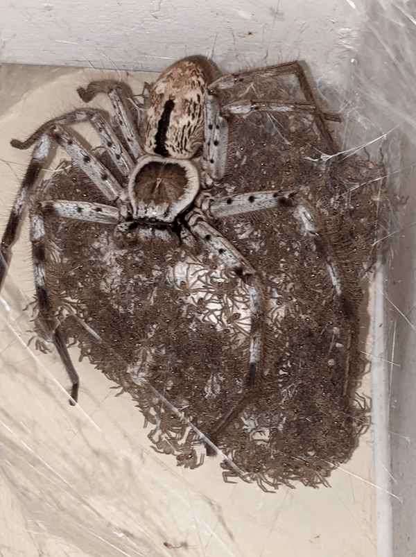 These items people found in their homes are absolutely CURSED