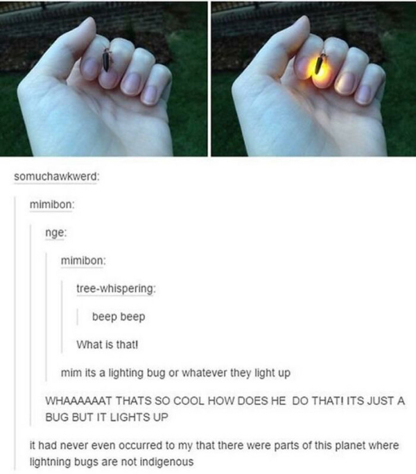Weird Images Tumblr