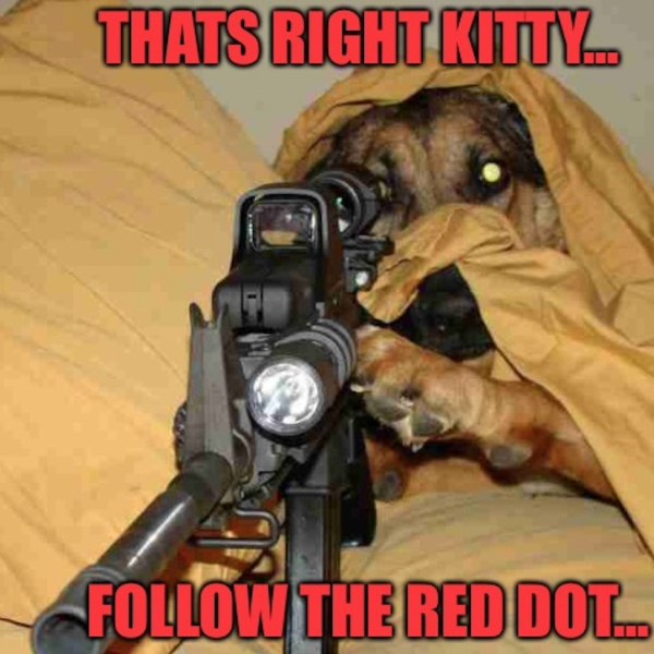 Memes Sniper Photo Captions Best Pictures One Shot 1 K*LL Compilation