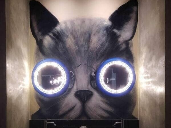 Cat Saturday Is a Real Meow Time