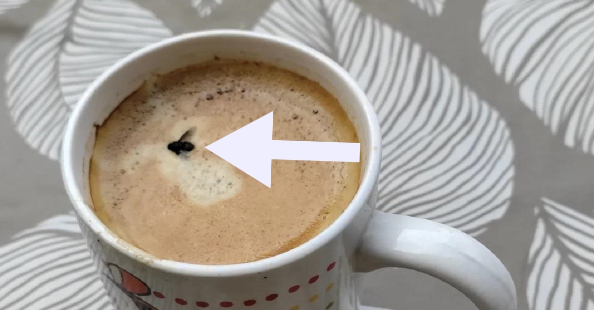 You Got Owned! | Owned Memes & Owned Gifs - theCHIVE