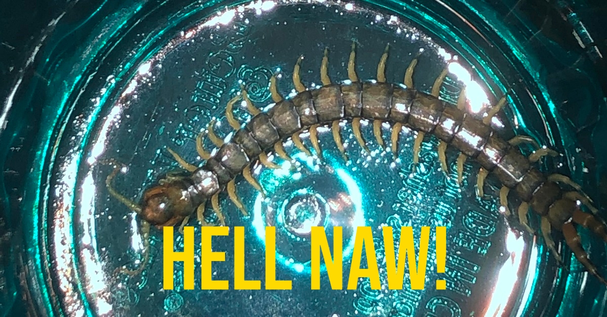 You Got Owned! | Owned Memes & Owned Gifs - theCHIVE