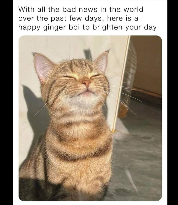 Meow. Translation: It’s Cat Saturday!