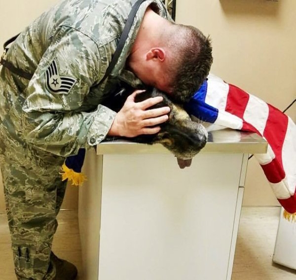 Service Dog Memes of Bad-A Military Bomb Sniffers K-9 Heroes Photos
