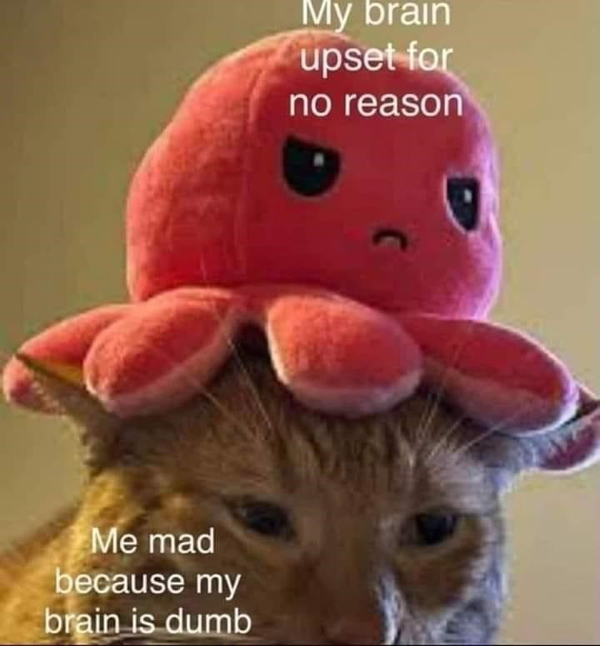 ADHD memes that will...hey look a butterfly!