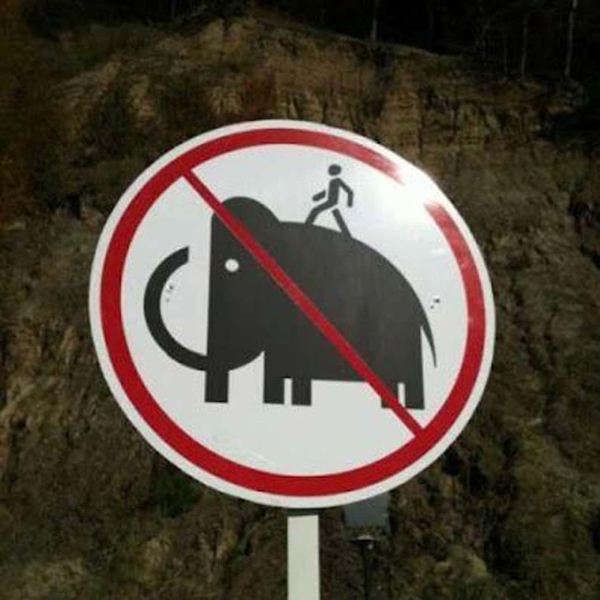 Proof that humanity is getting dumber...(30 Photos)