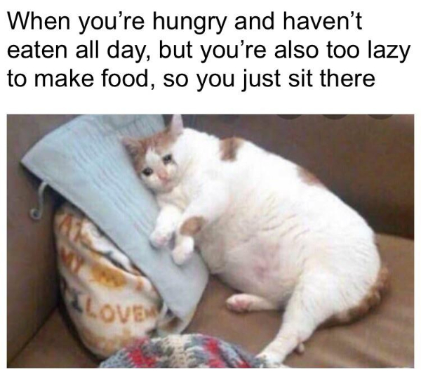 Dank Memes Keep It Real in These Streets