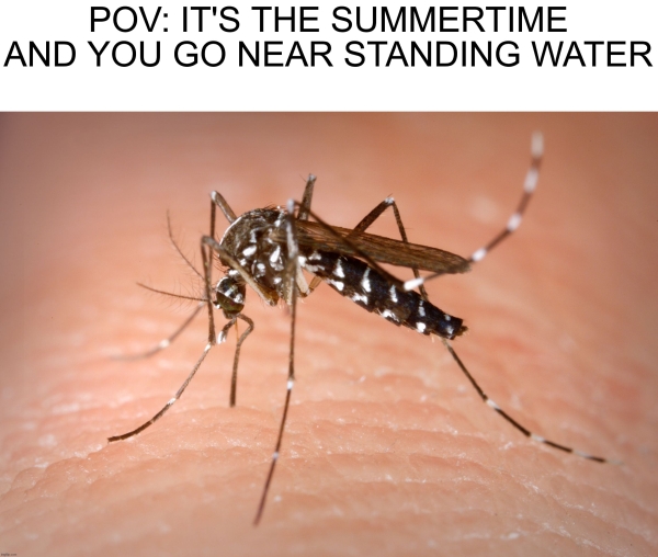 Grab your bug spray for these outdoor memes (30 Photos)