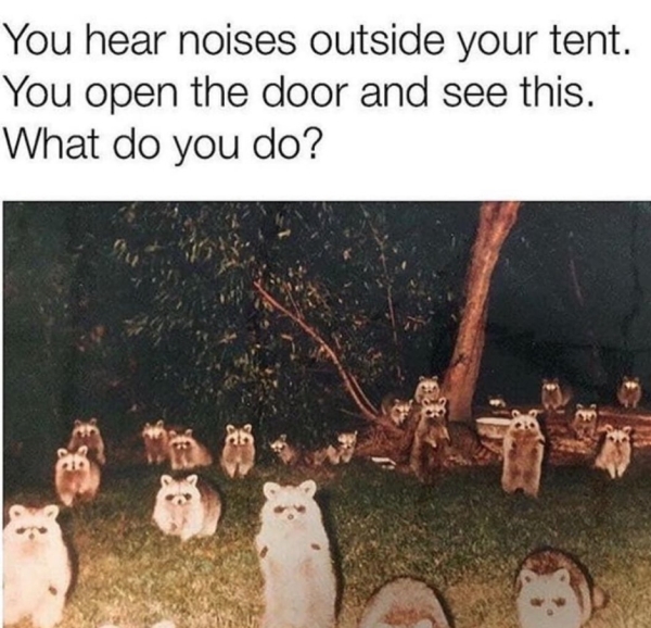 Grab your bug spray for these outdoor memes (30 Photos)