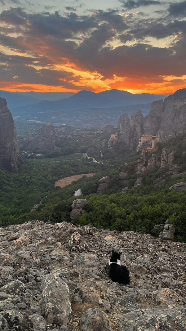 Uplifting images that are sure to make you smile