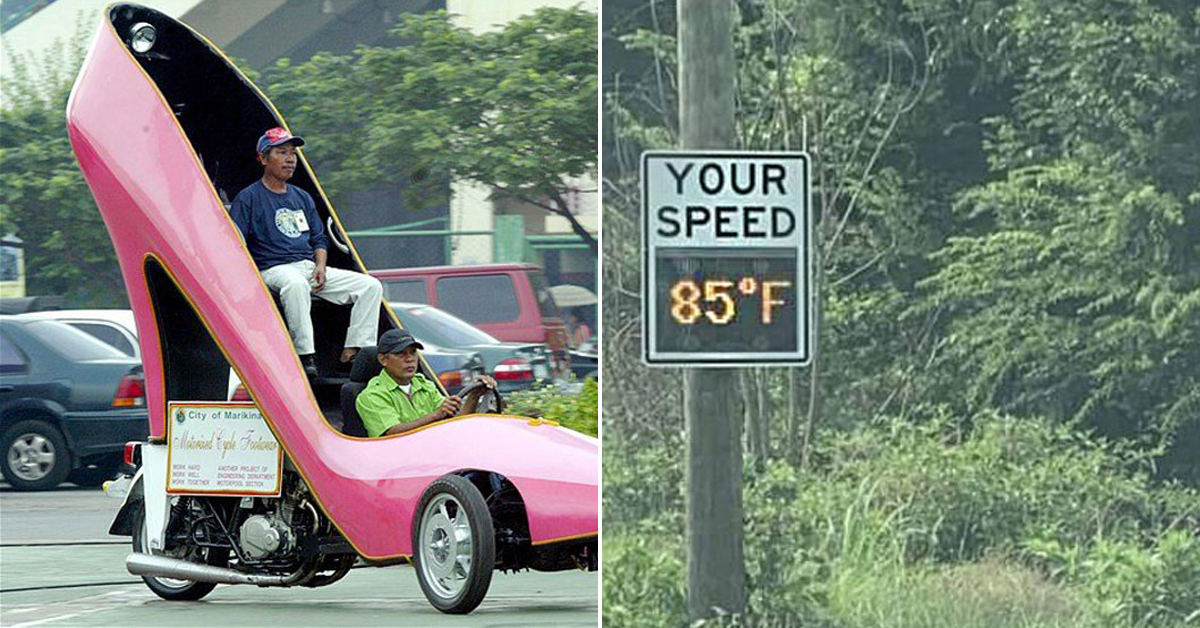 Funny Memes | The Funniest and Most Hilarious Memes Ever - theCHIVE