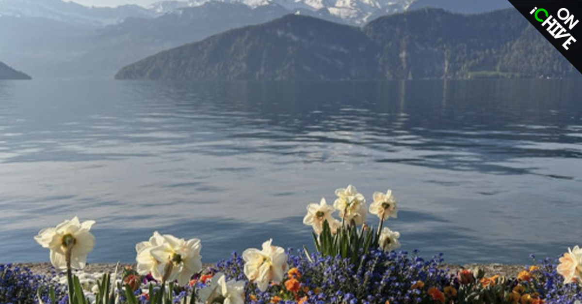 theCHIVE - Funny Pictures, Photos, Memes & Videos – theCHIVE.com