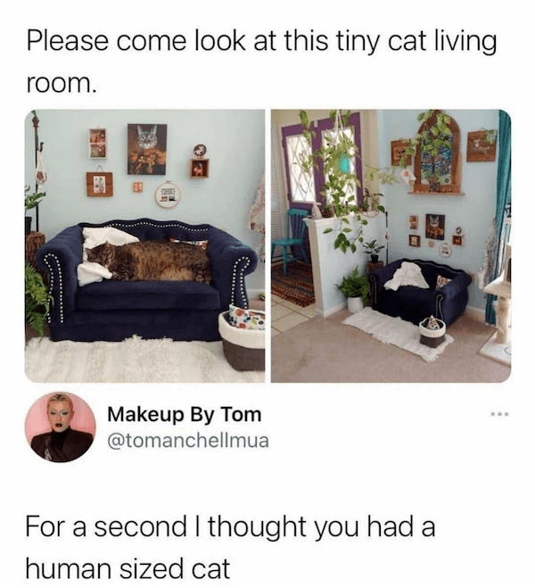 Wholesome memes to wrap around yourself like a warm blanket