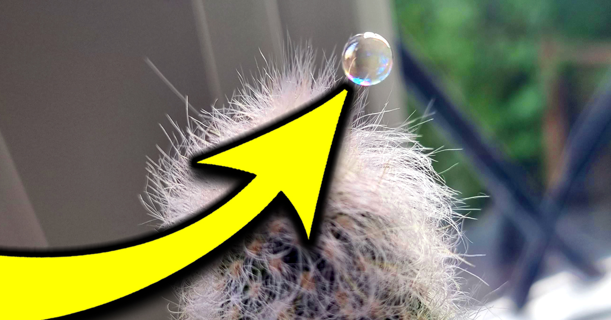 Humanity Photos, Memes & Videos - theCHIVE