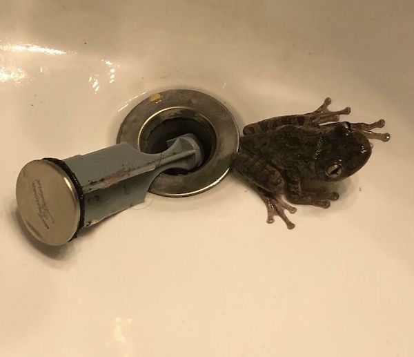 Unexpected finds that are worth a bit of 'Show & Tell' | theCHIVE