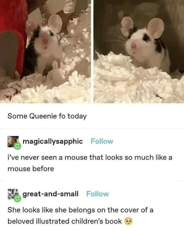 Wholesome memes to wrap around yourself like a warm blanket
