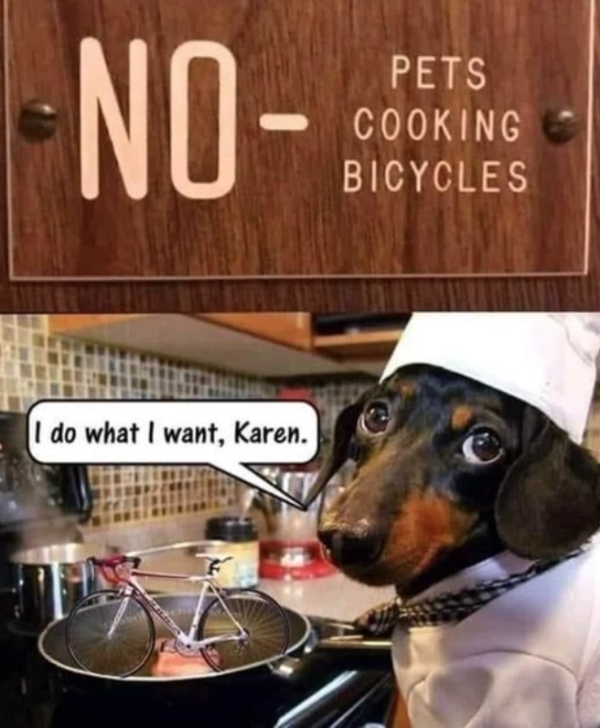 NAILed IT Memes can Offend but Funny and Too TRUE Best A-Hole Photos