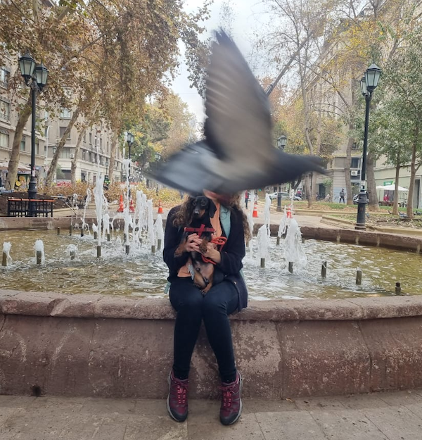 Never tell these people the odds | theCHIVE | Humor | Funny Pics